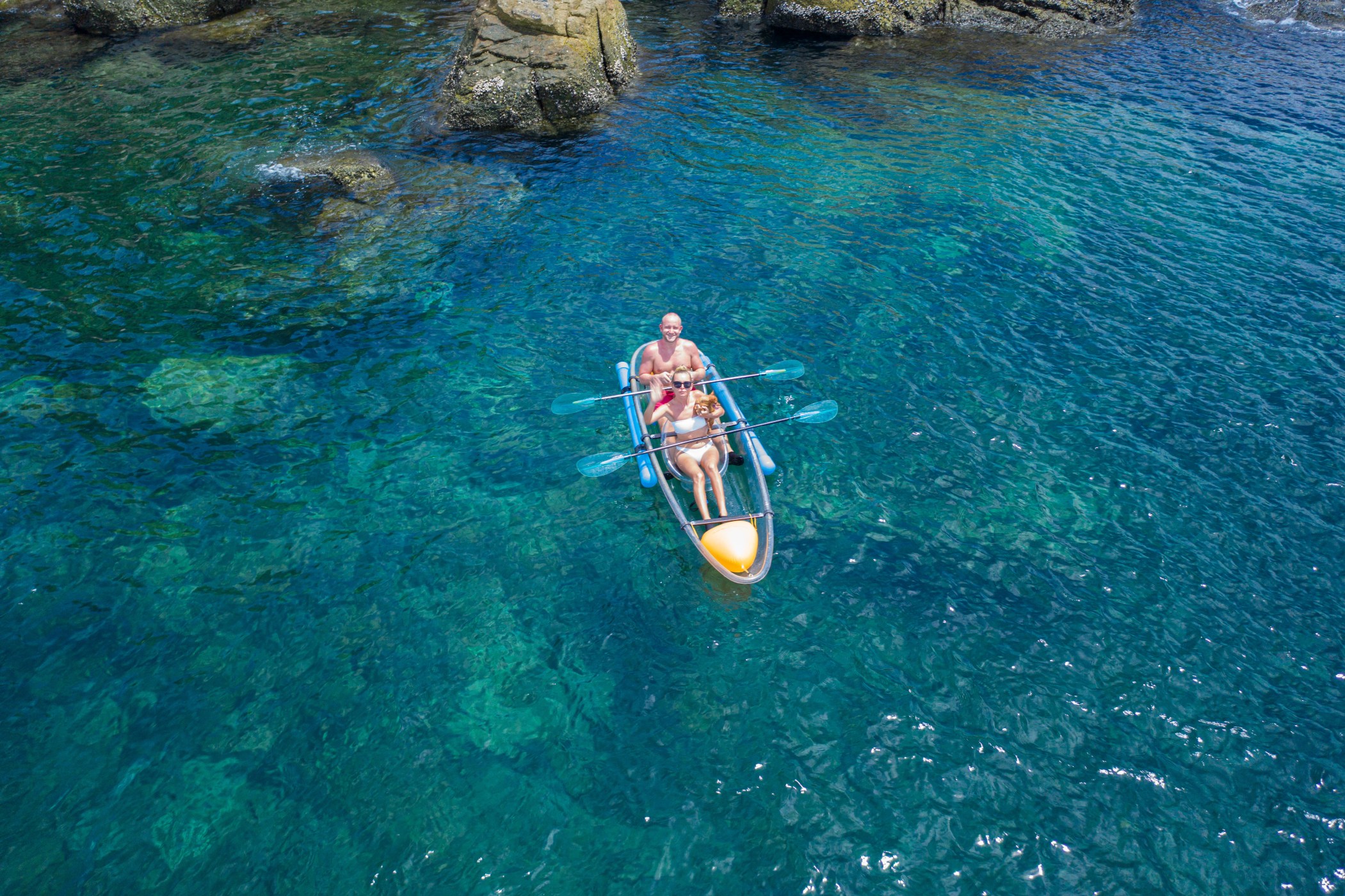 Glass Bottom Kayak Tour - Condado Lagoon | Glow Kayak Puerto Rico