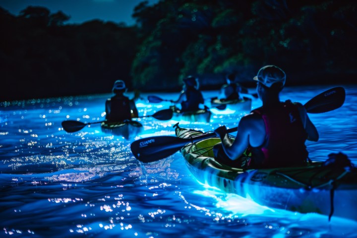Guided LED Night Kayak - Condado Lagoon | Glow Kayak Puerto Rico